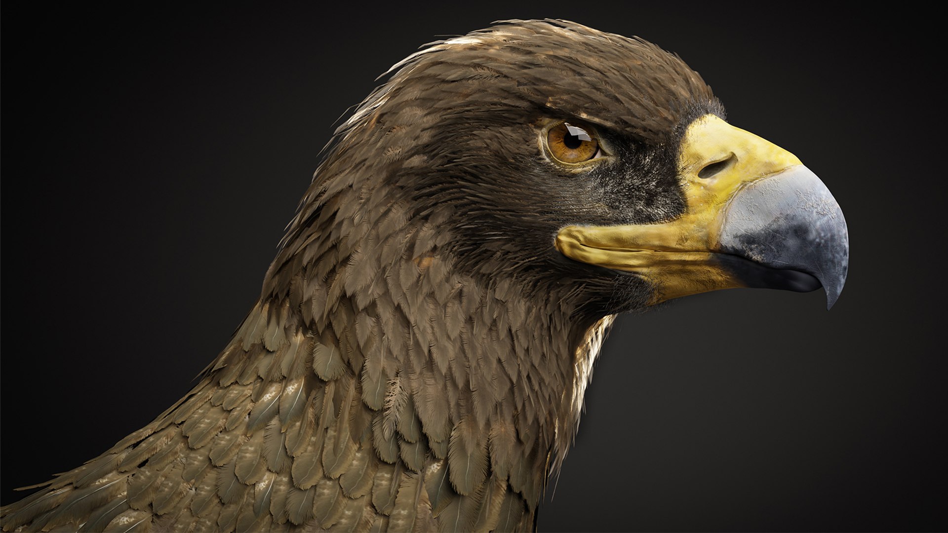 Golden Eagle 3D Blender 3D Model - TurboSquid 2292526