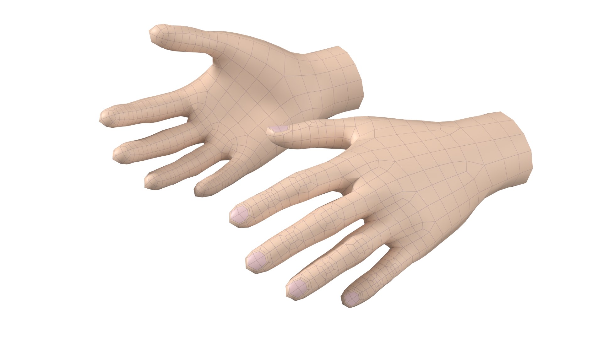Female Hand Base Mesh 05 3D - TurboSquid 1786165