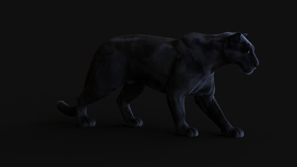 modelo 3d PANTERA NEGRA ANIMADA XGEN-CORE - TurboSquid 2075244
