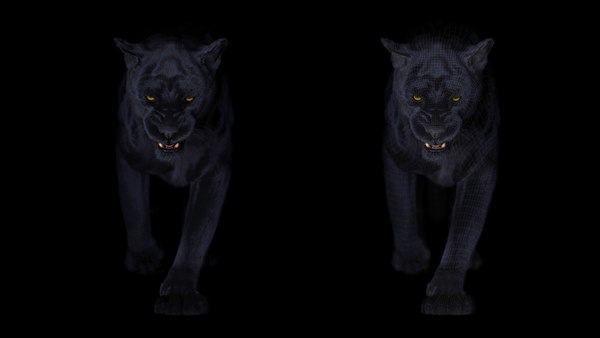 modelo 3d PANTERA NEGRA ANIMADA XGEN-CORE - TurboSquid 2075244