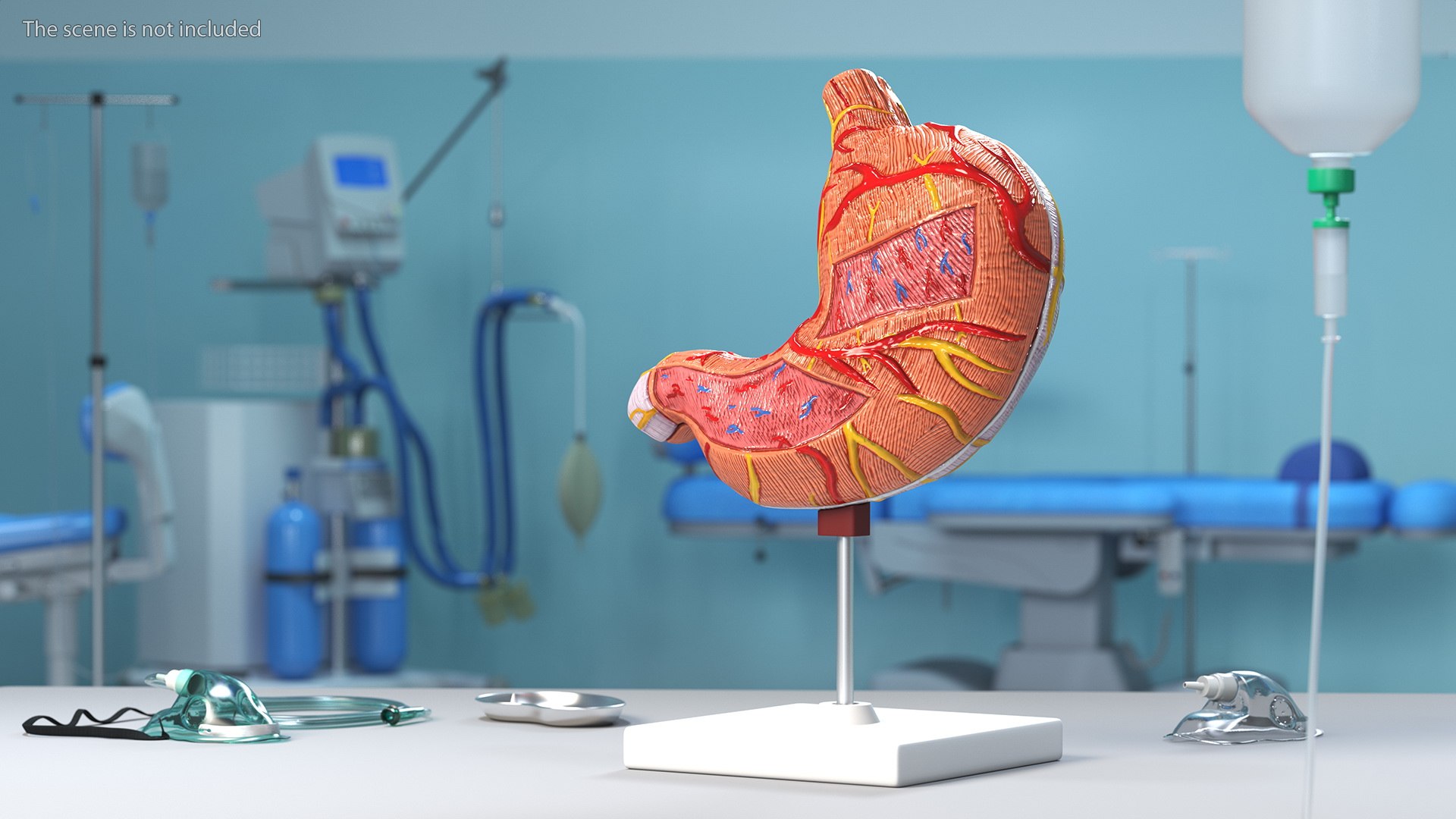 3D Medical Models Collection model - TurboSquid 1992482