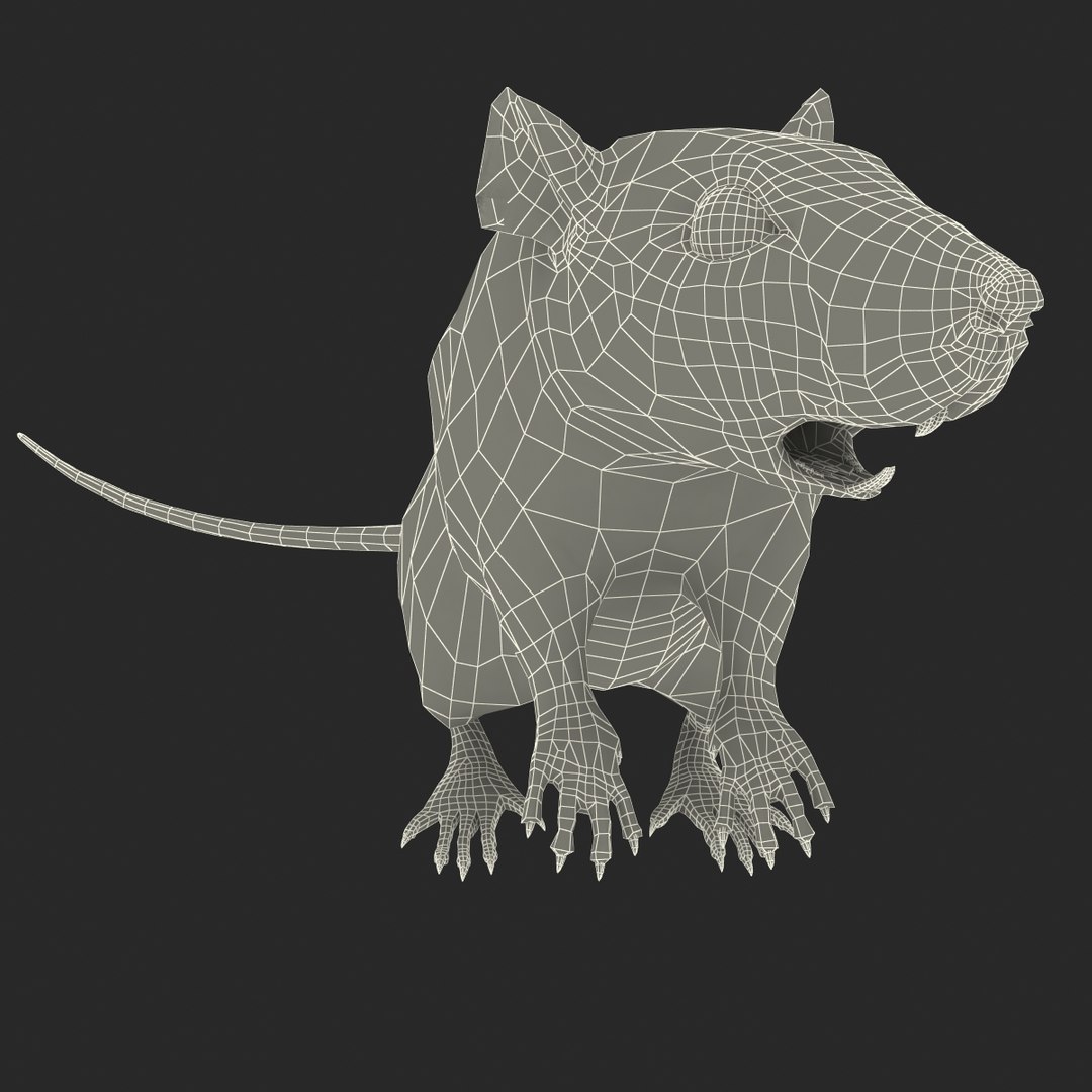 3d Rat Pose 2 Fur Model
