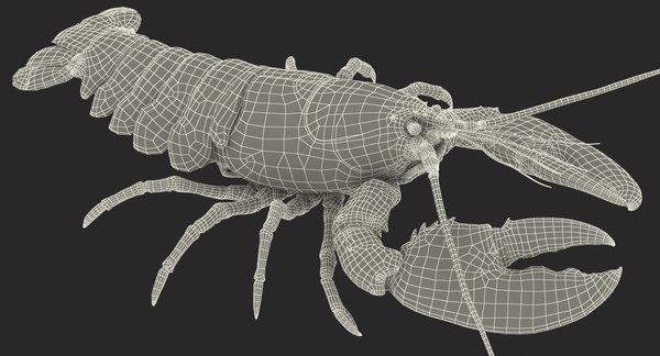 3d model lobster rigged