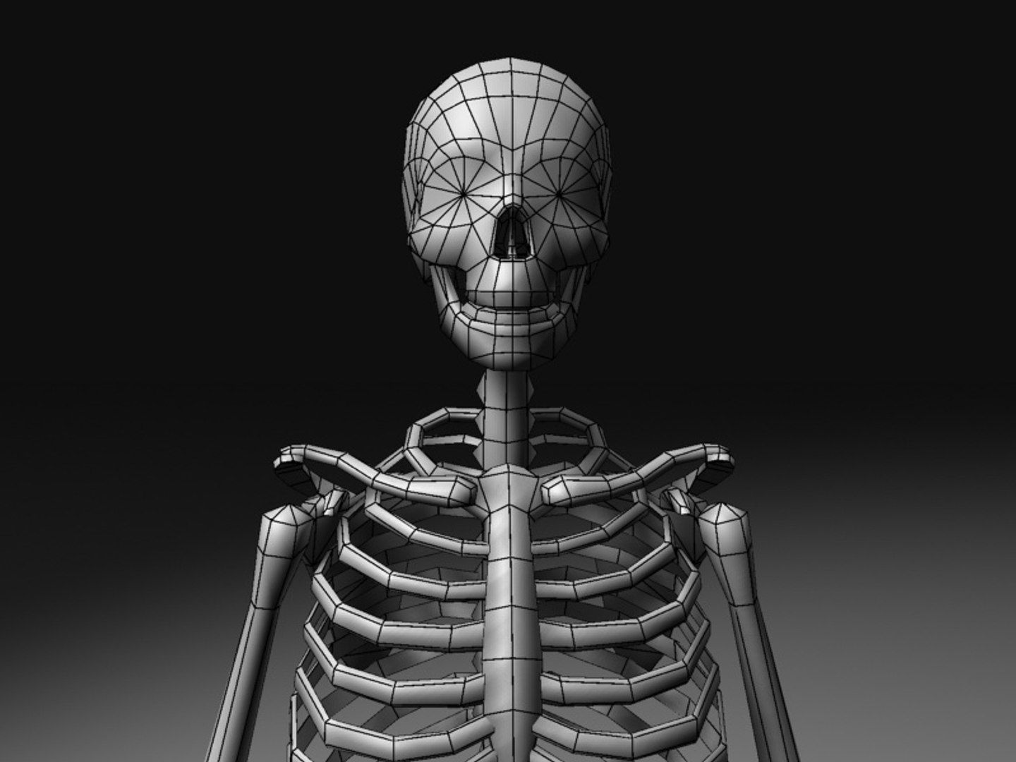 3d Model Skeleton