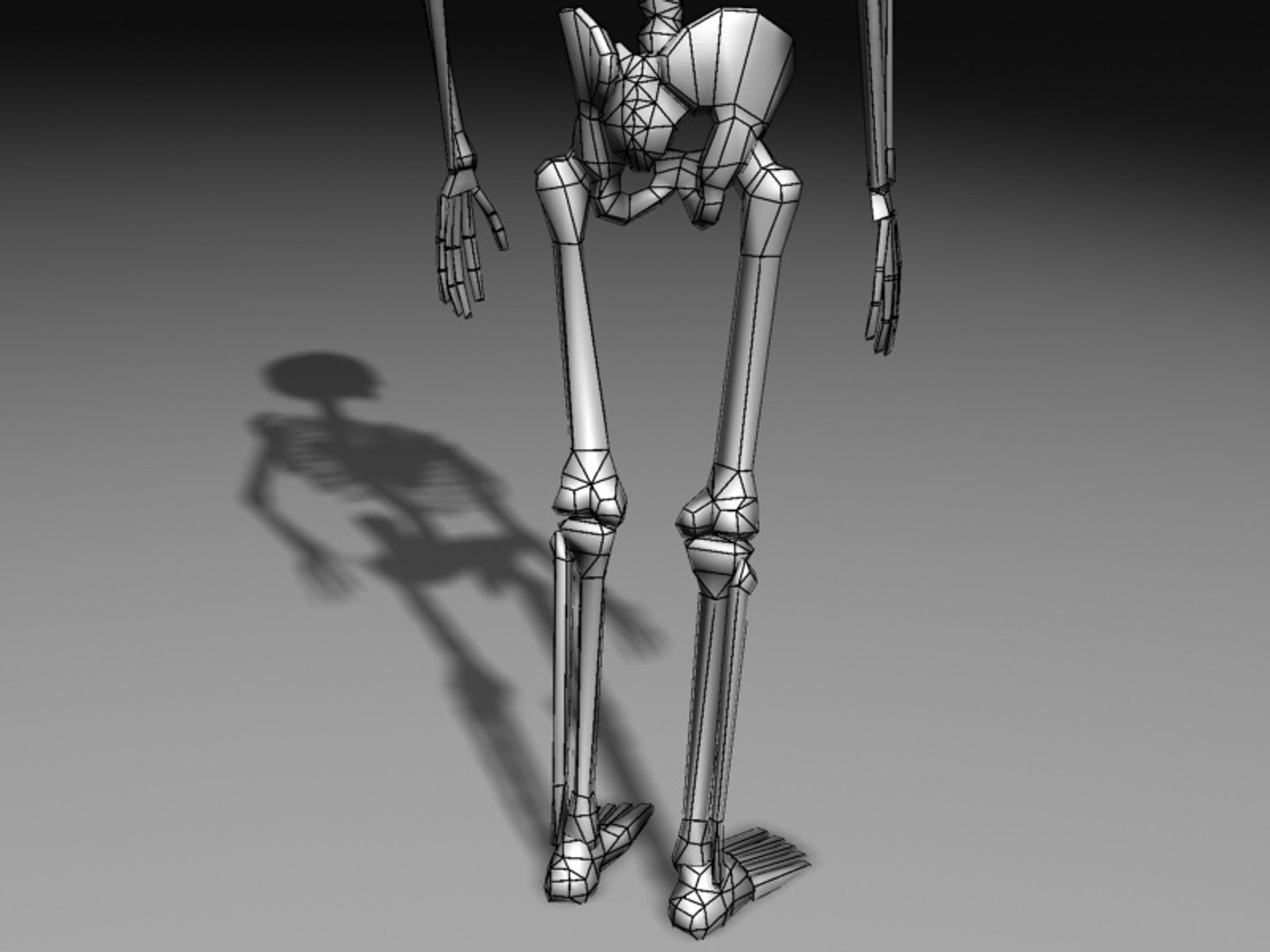 3d Model Skeleton
