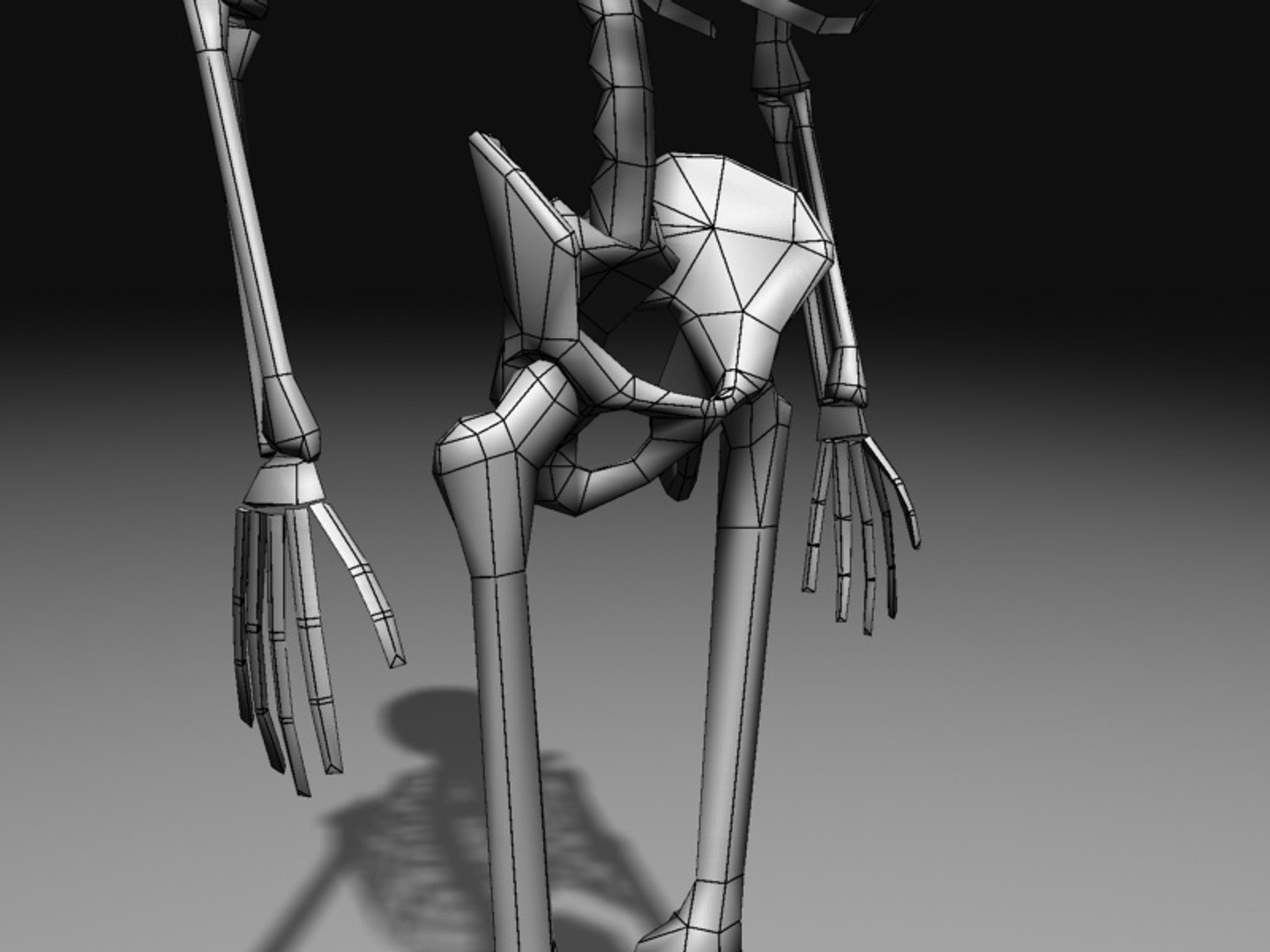 3d Model Skeleton