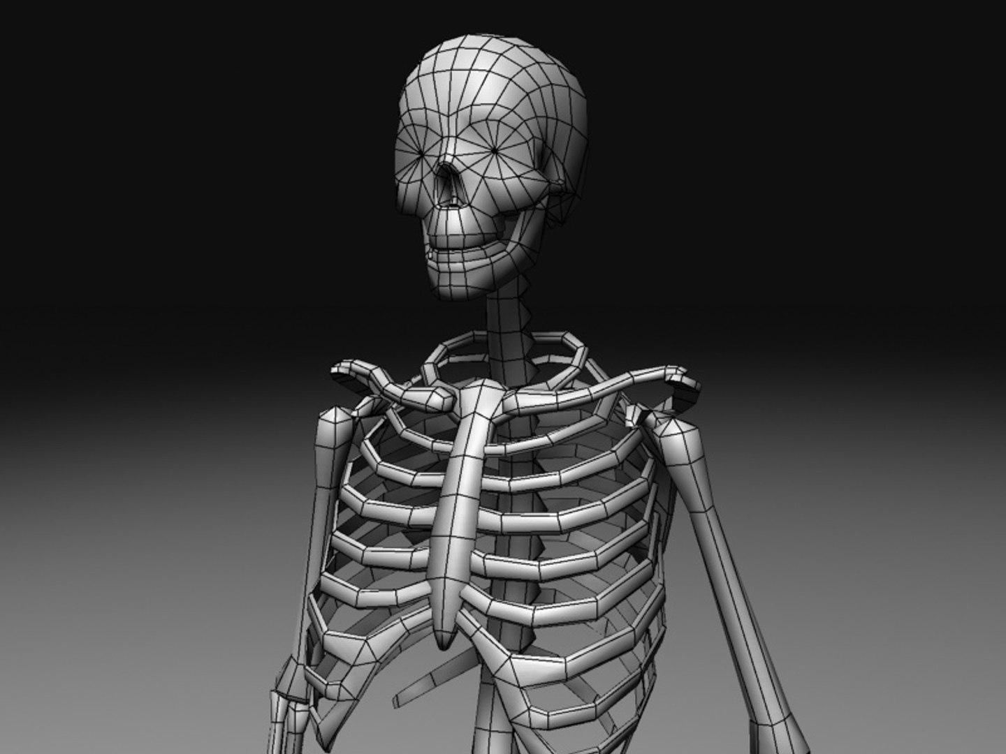3d Model Skeleton