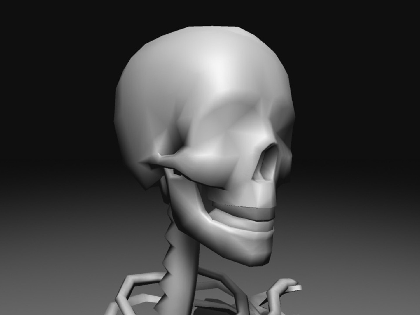 3d Model Skeleton