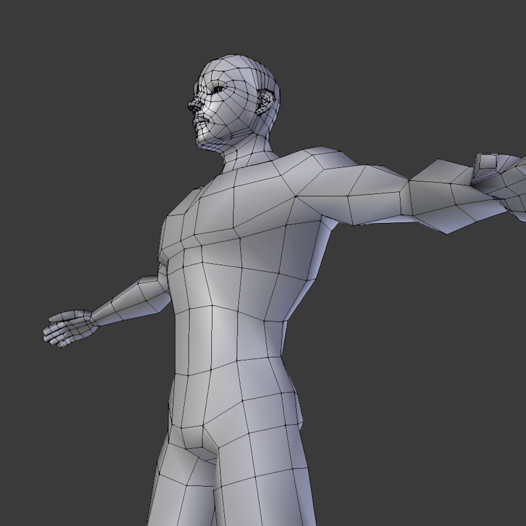 Human Body 3d Model