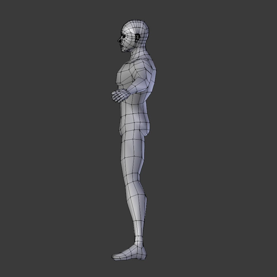 Human Body 3d Model