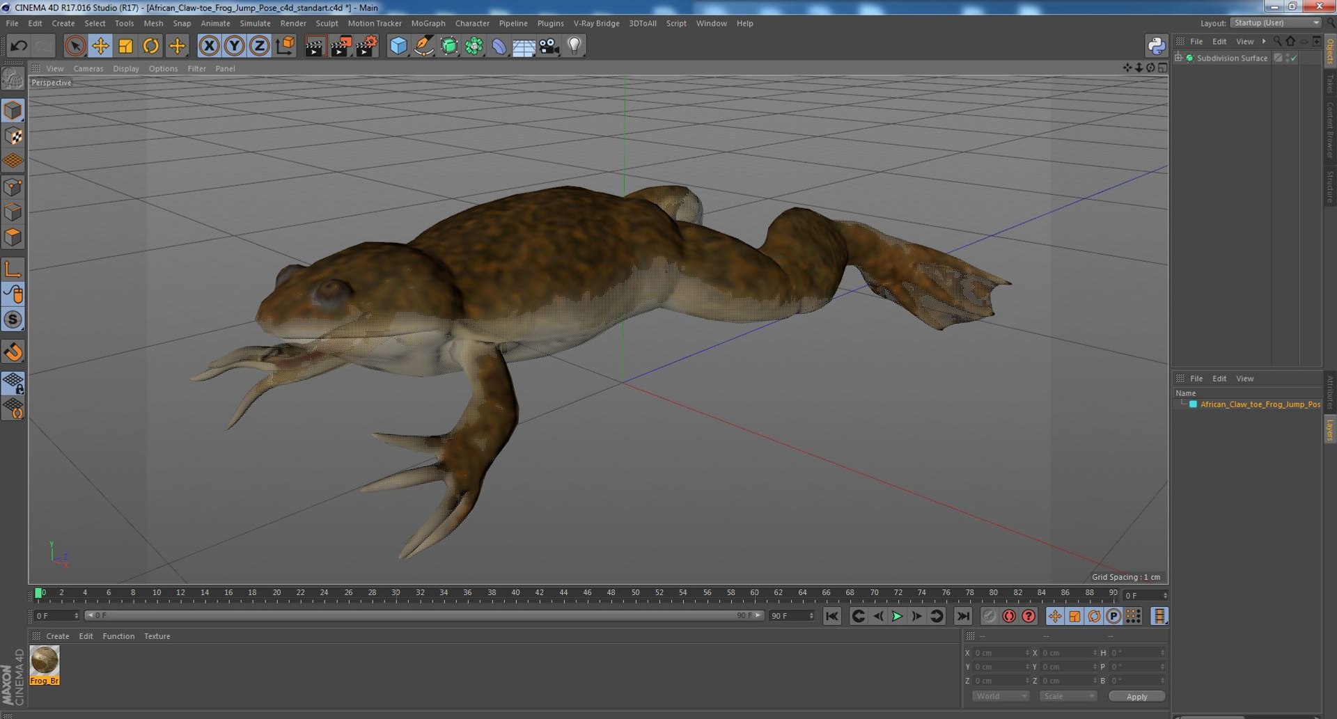 African Claw-toe Frog Jump Pose model - TurboSquid 2131156