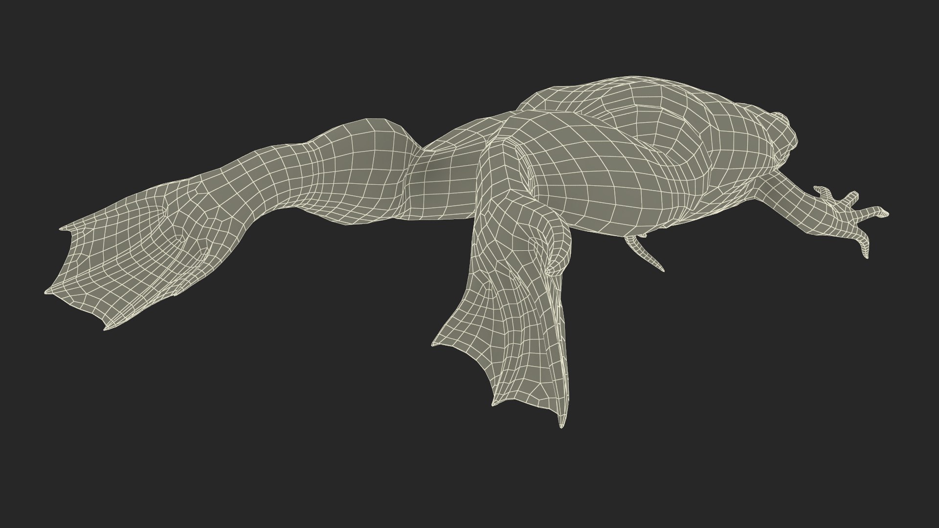 African Claw-toe Frog Jump Pose model - TurboSquid 2131156