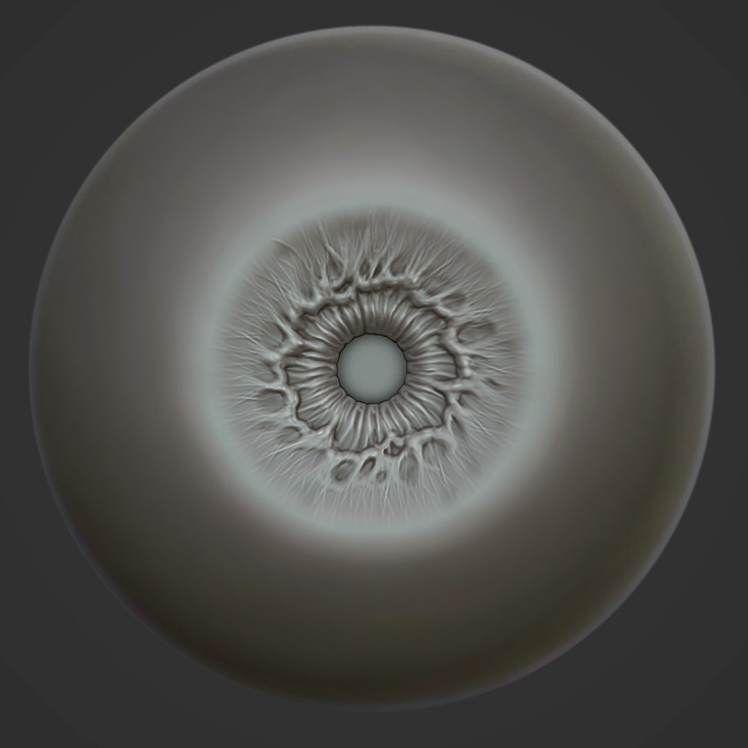 Eye Eyeball Anatomy Model - TurboSquid 1433983