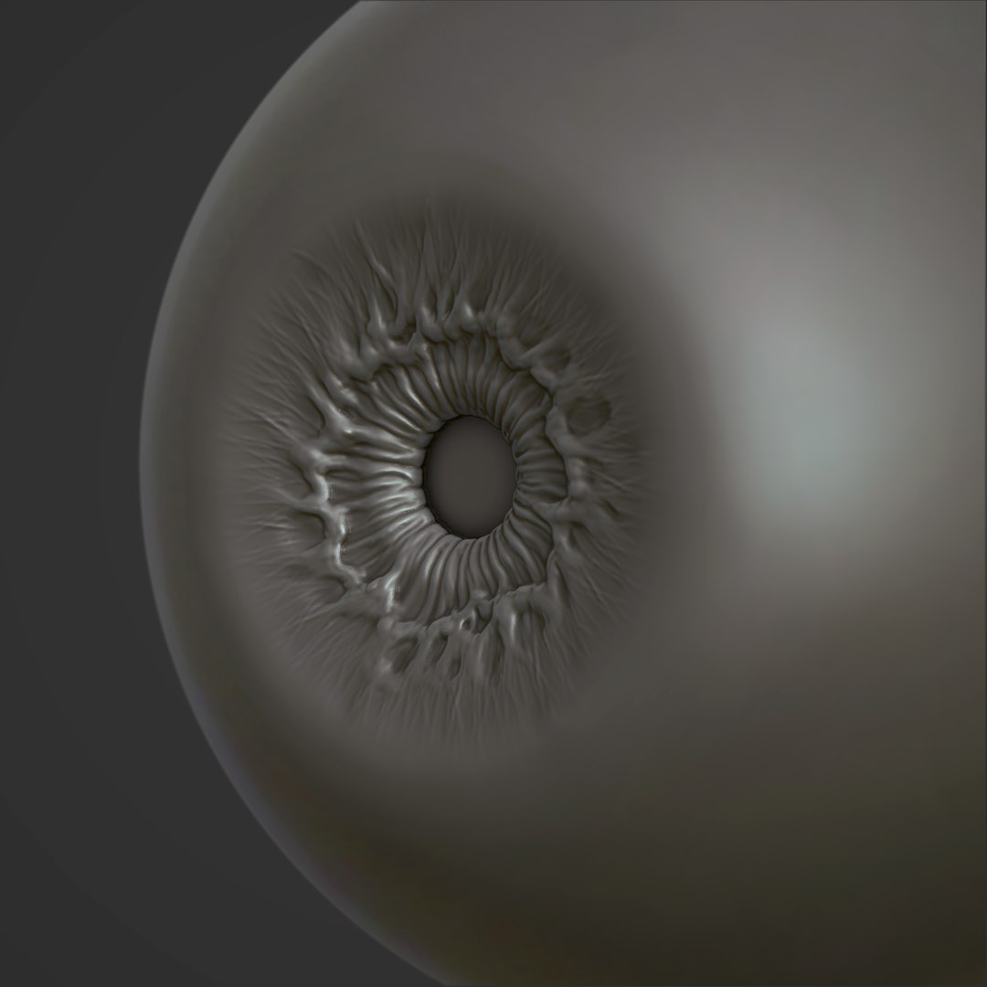 Eye Eyeball Anatomy Model - TurboSquid 1433983