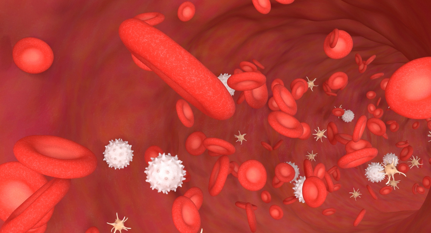 Bloodstream flow cell 3D model - TurboSquid 1319131
