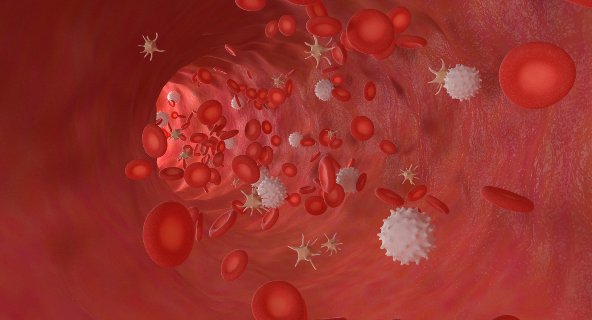 Bloodstream flow cell 3D model - TurboSquid 1319131