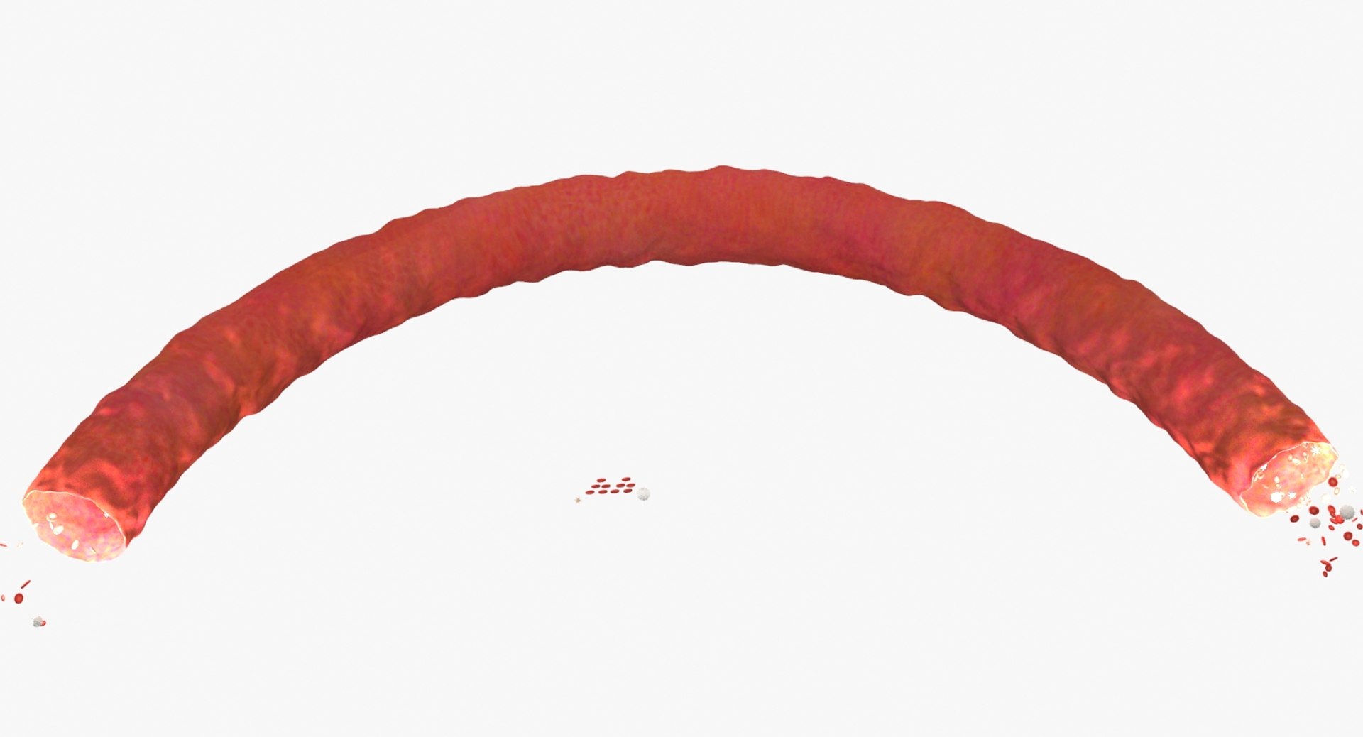 Bloodstream flow cell 3D model - TurboSquid 1319131