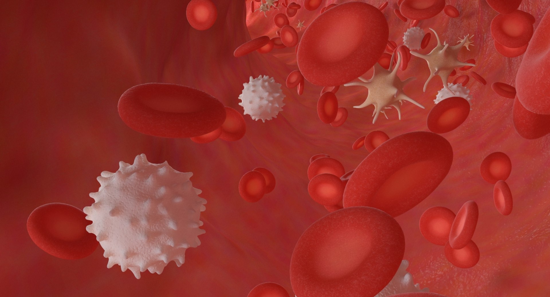 Bloodstream flow cell 3D model - TurboSquid 1319131