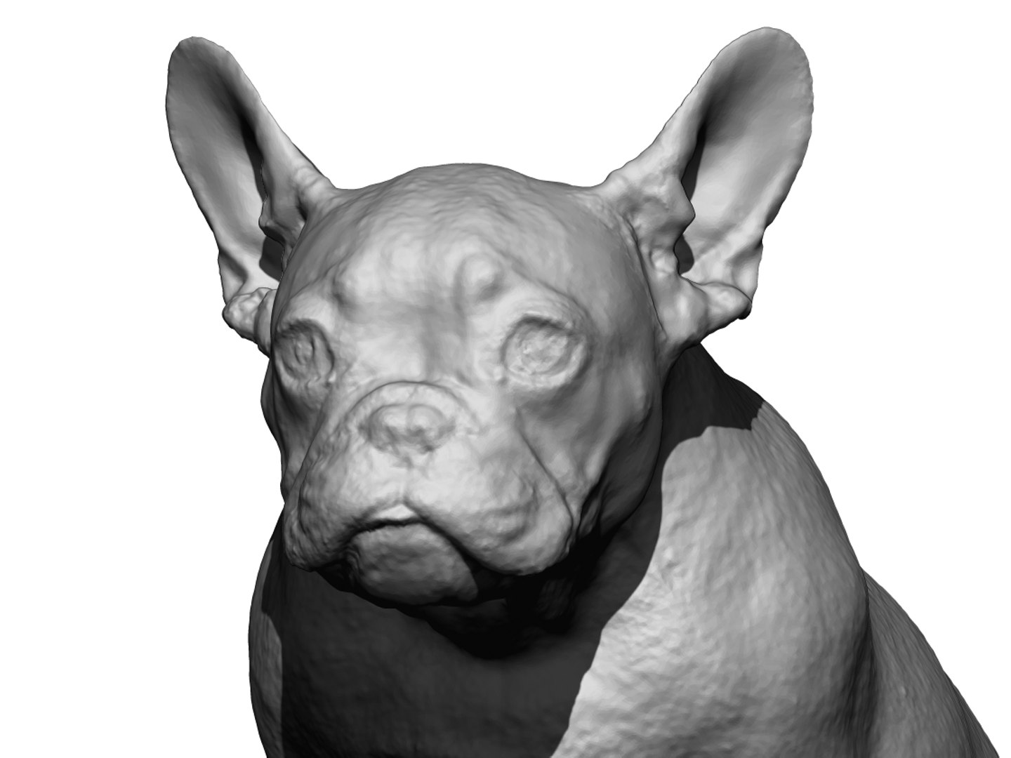 3D Dog Scanned Photogrammetry Model - TurboSquid 1349124