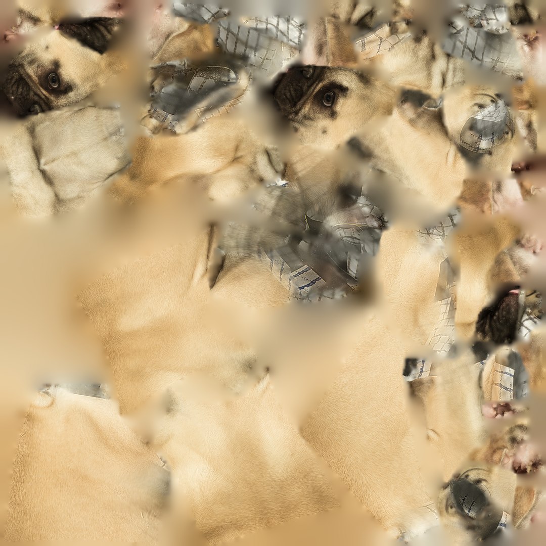 3D Dog Scanned Photogrammetry Model - TurboSquid 1349124