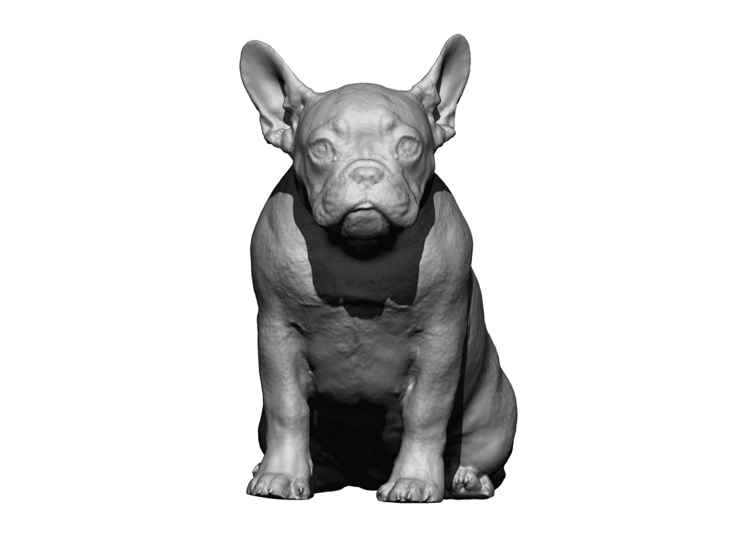3D Dog Scanned Photogrammetry Model - TurboSquid 1349124