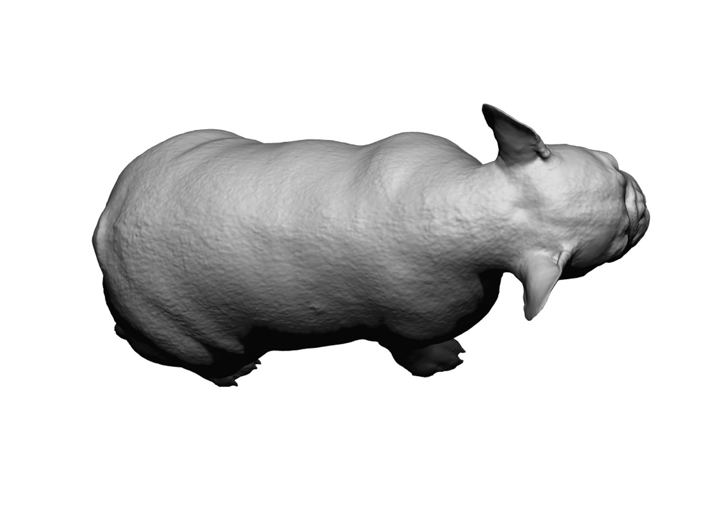 3D Dog Scanned Photogrammetry Model - TurboSquid 1349124
