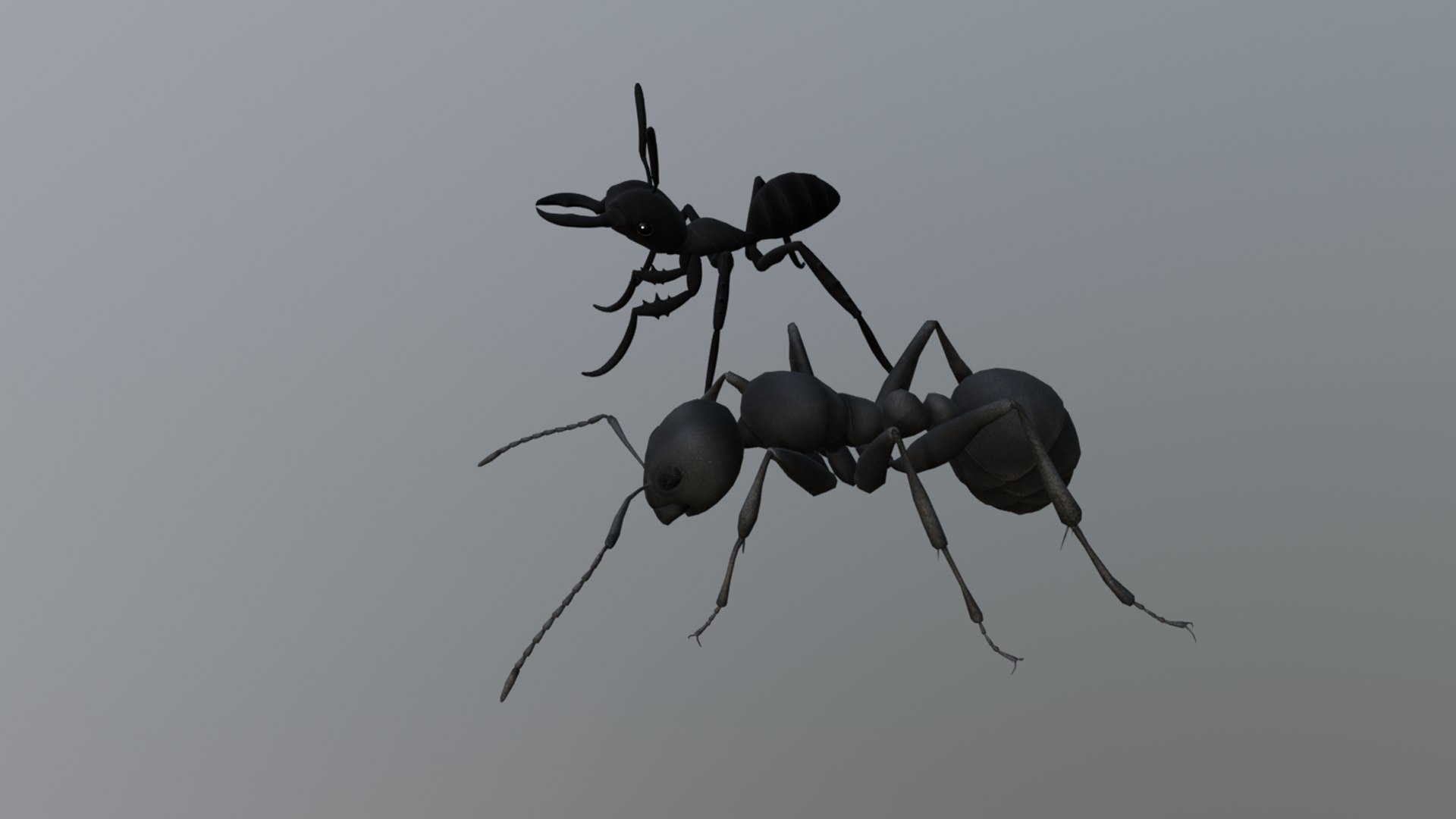 3D Ants - TurboSquid 2312911