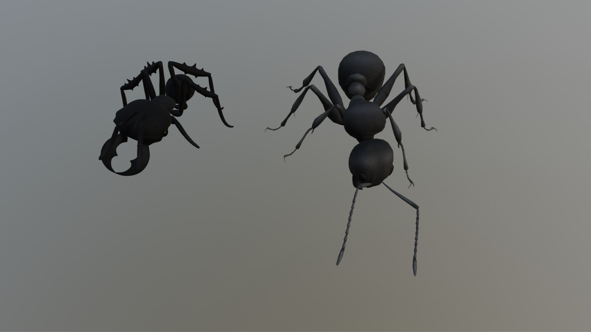 3D Ants - TurboSquid 2312911
