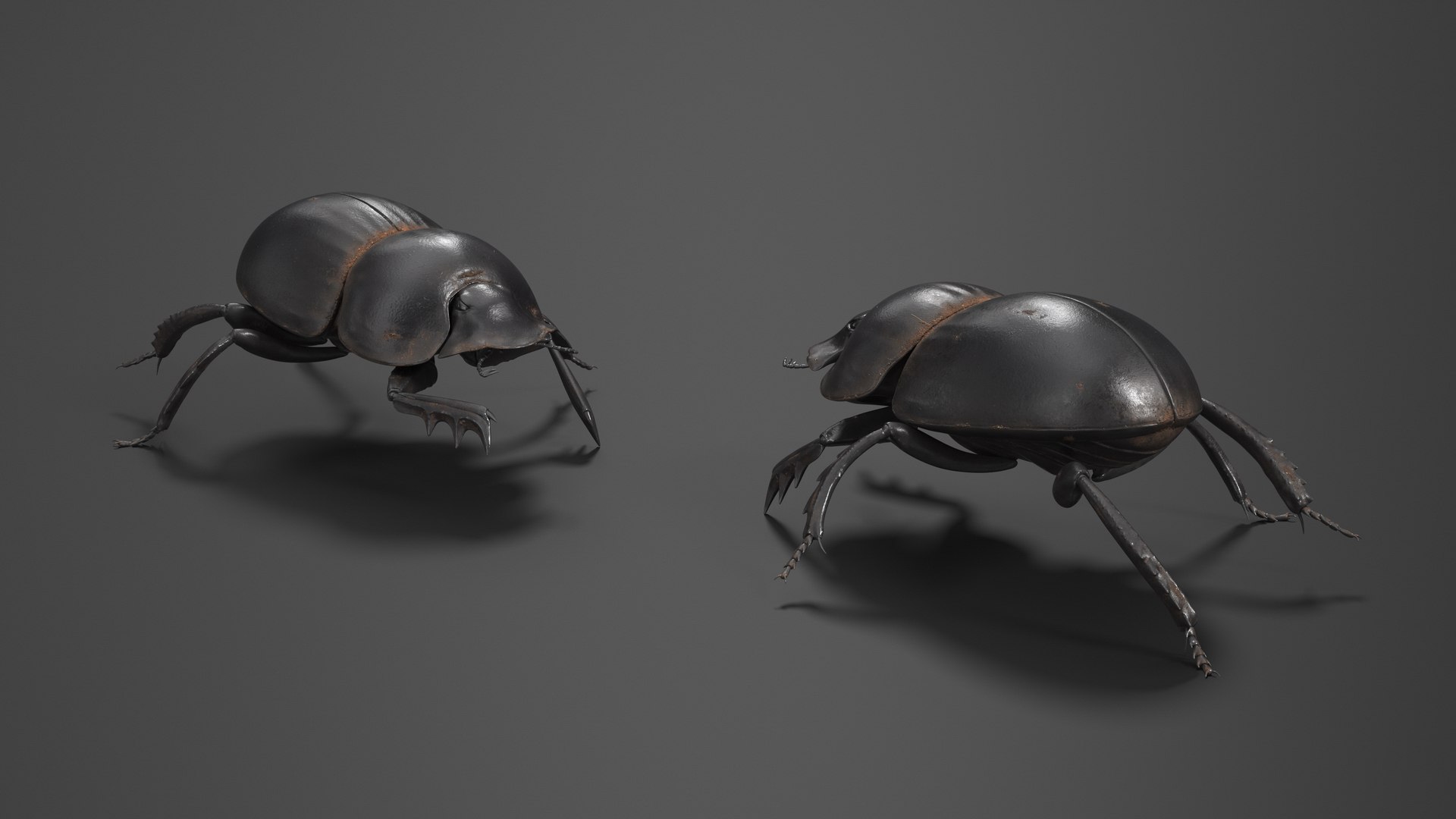 3D Mud Beetle Dirty Rigged For Cinema 4D Model - TurboSquid 2354725