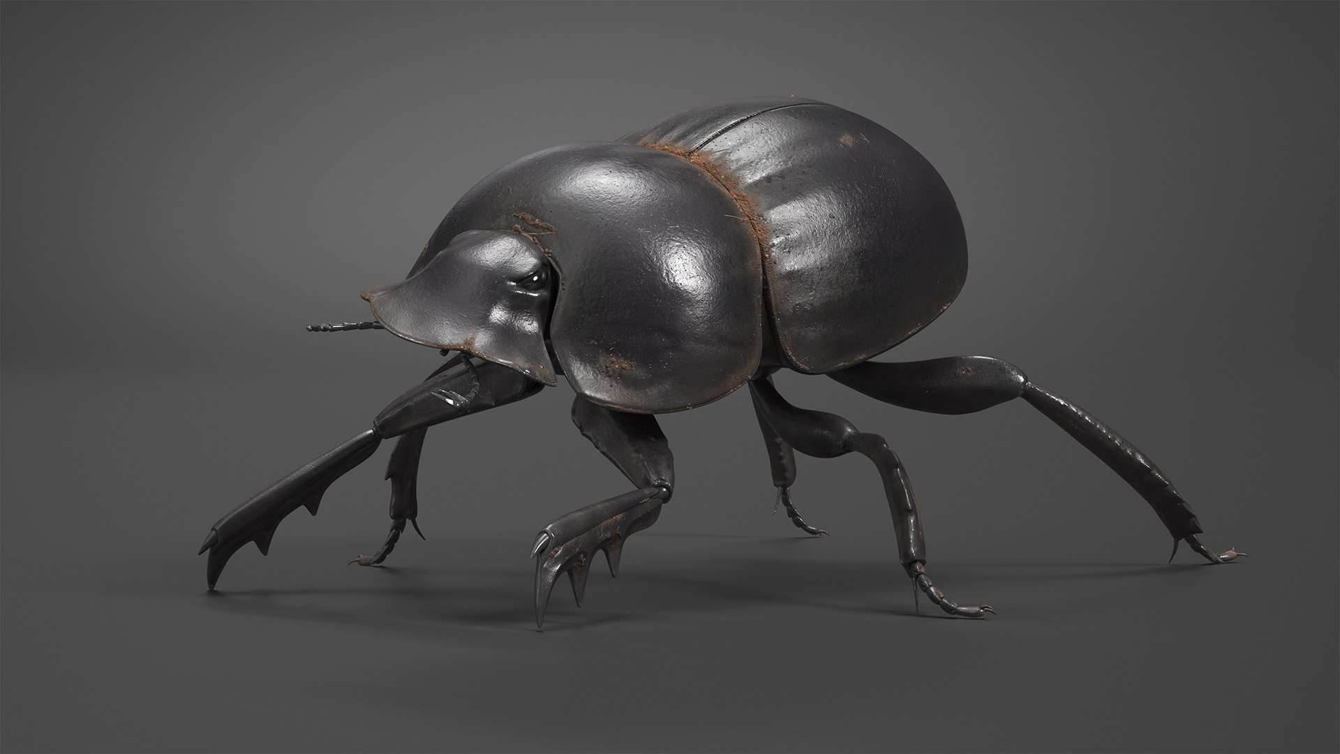 3D Mud Beetle Dirty Rigged For Cinema 4D Model - TurboSquid 2354725