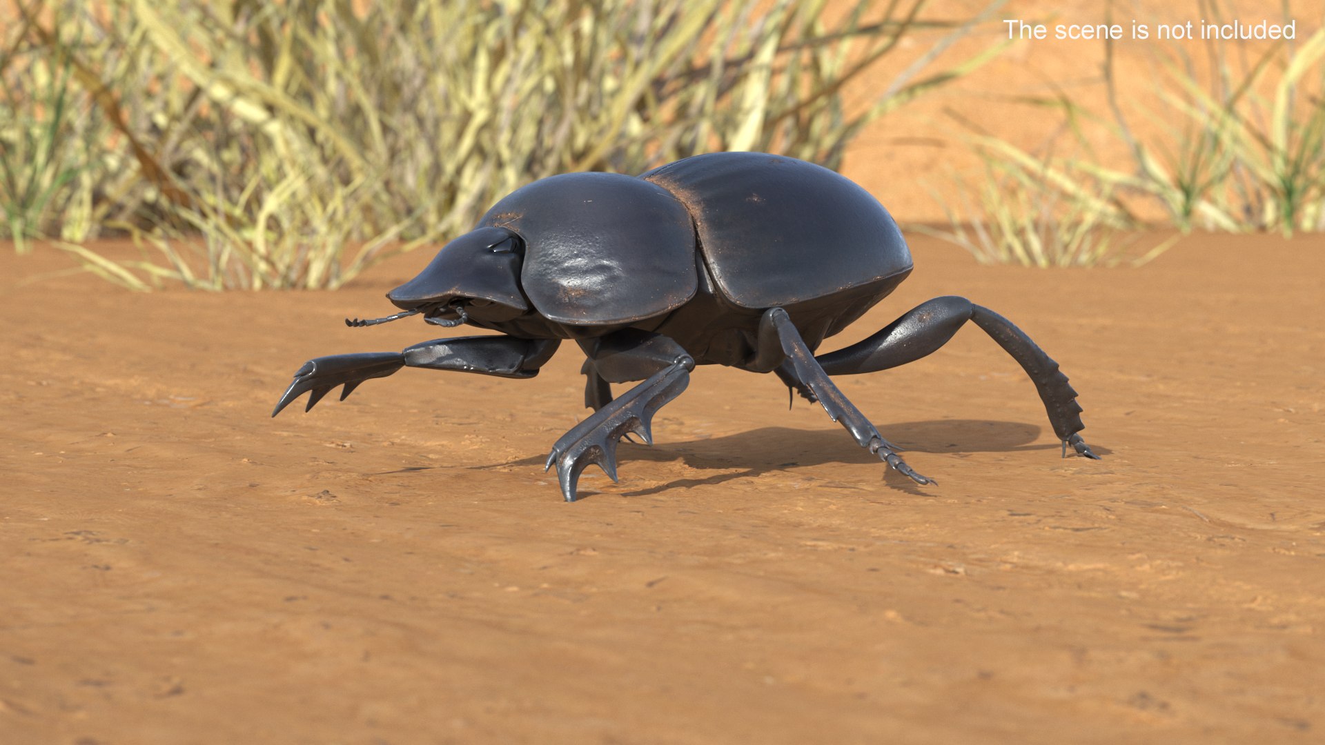 3D Mud Beetle Dirty Rigged For Cinema 4D Model - TurboSquid 2354725
