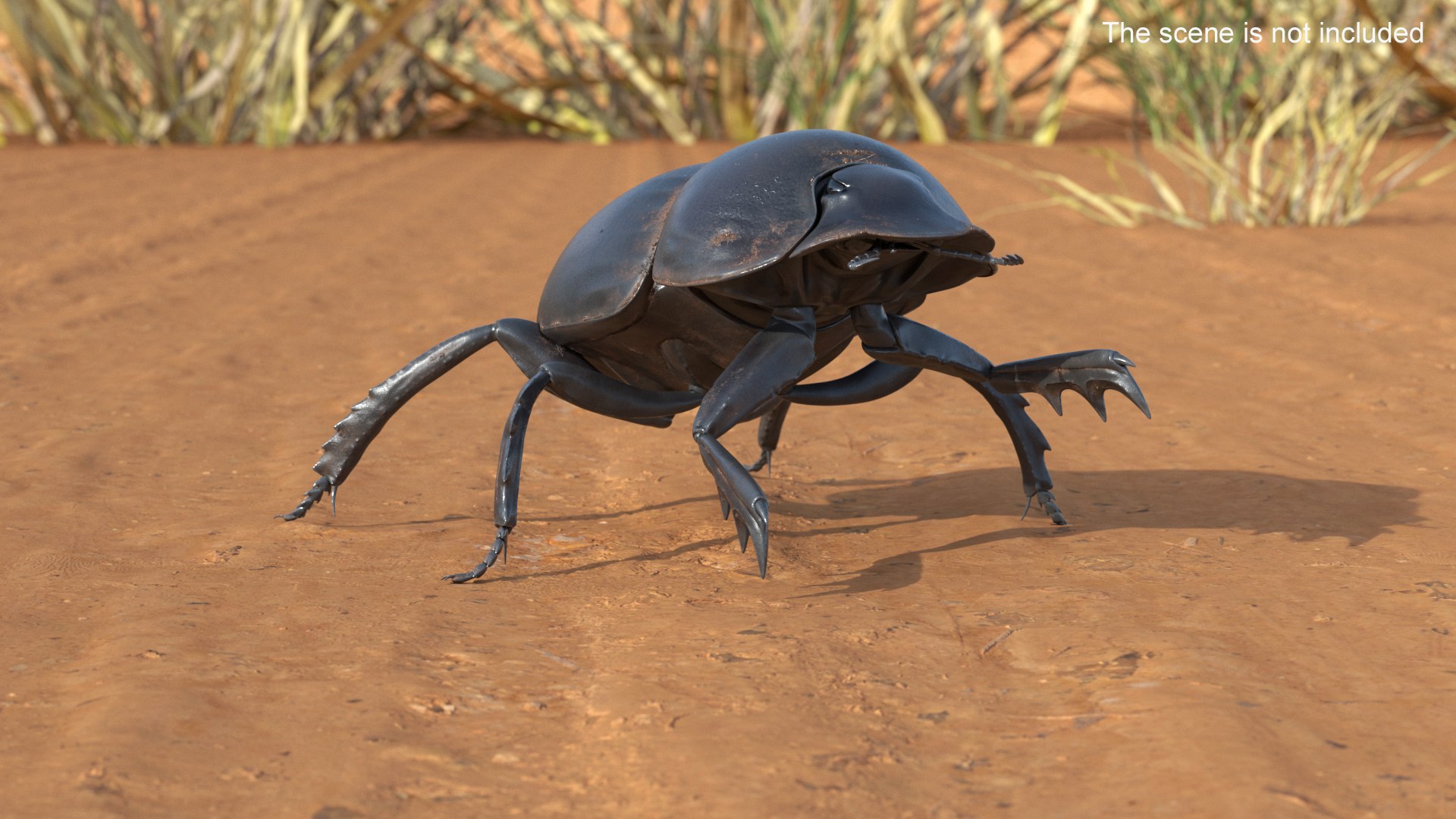 3D Mud Beetle Dirty Rigged For Cinema 4D Model - TurboSquid 2354725