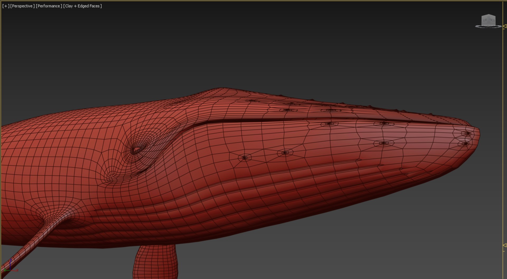 Blue Whale Model - TurboSquid 1969970