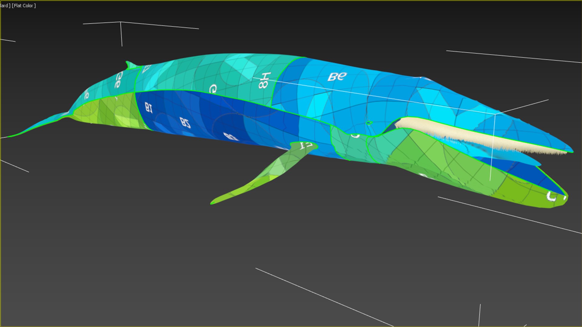 Blue Whale Model - TurboSquid 1969970