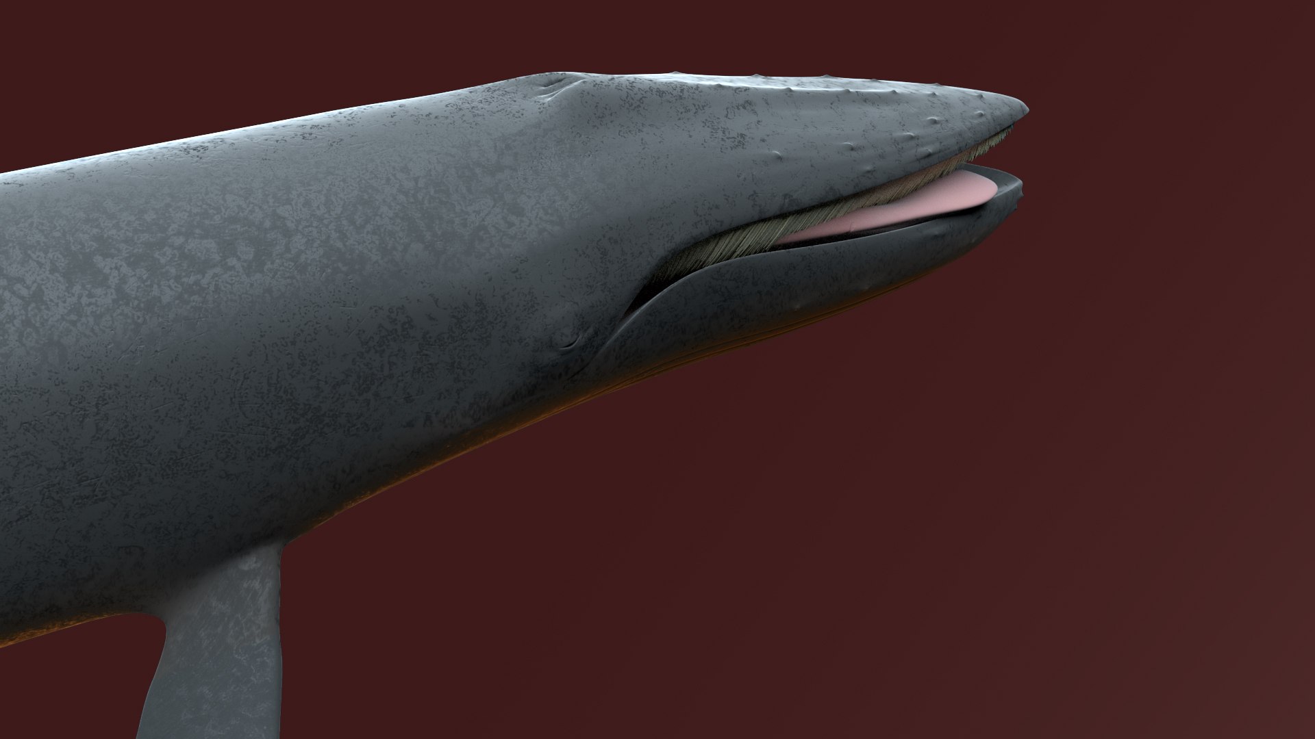 Blue Whale Model - TurboSquid 1969970