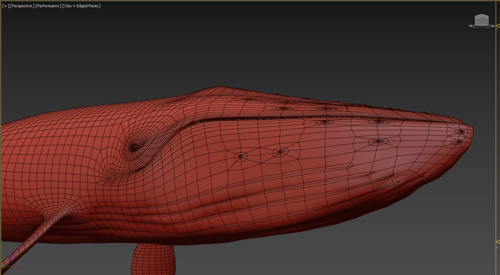 Blue Whale Model - TurboSquid 1969970