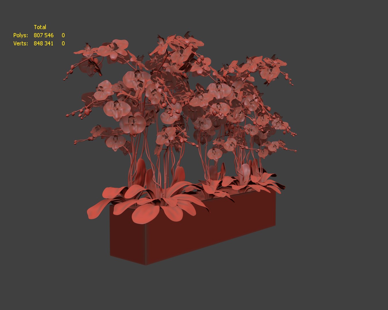orchid 3 3d model