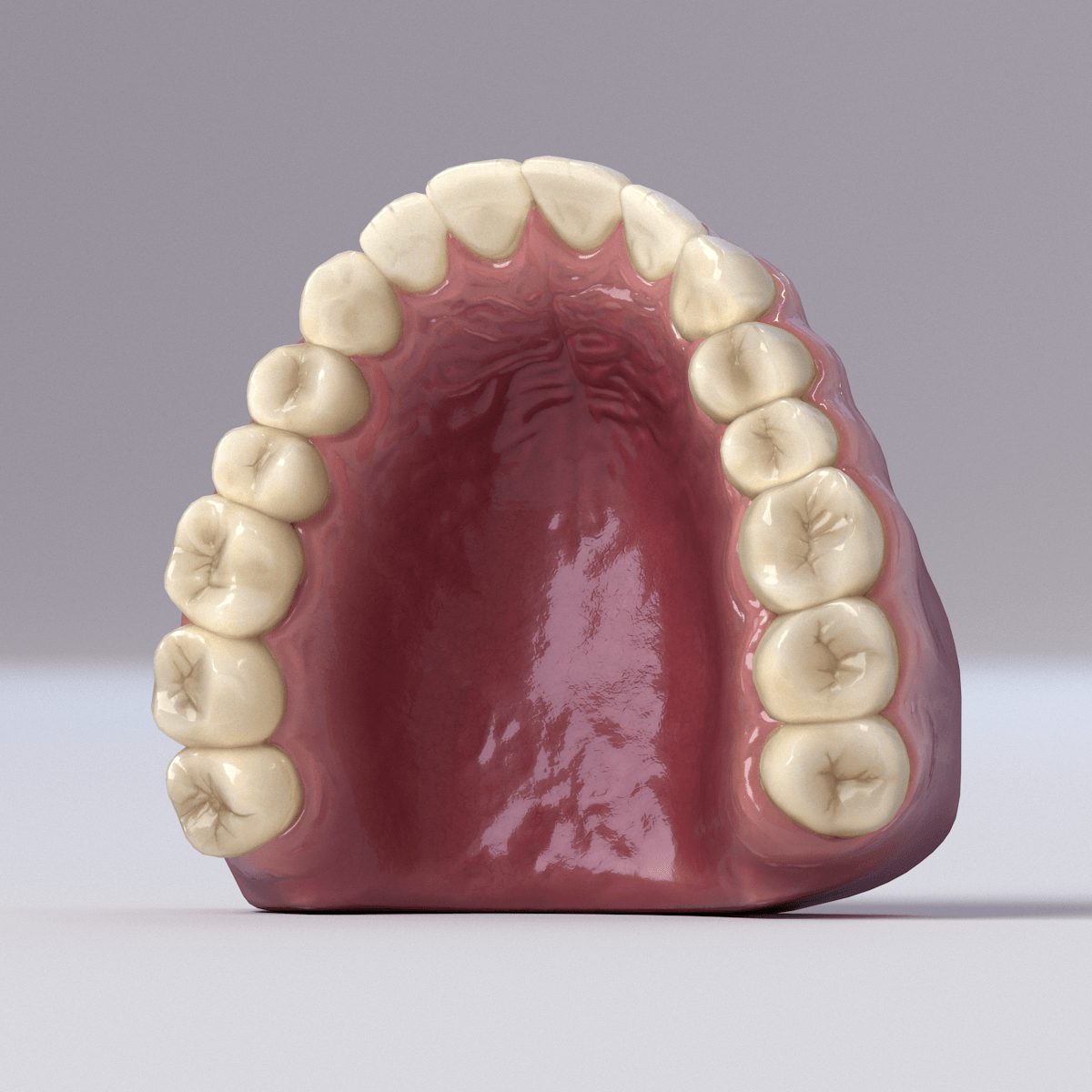Realistic teeth 3D model - TurboSquid 1252964