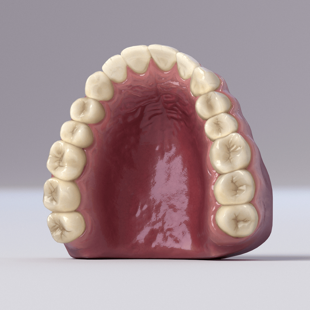 Realistic teeth 3D model - TurboSquid 1252964