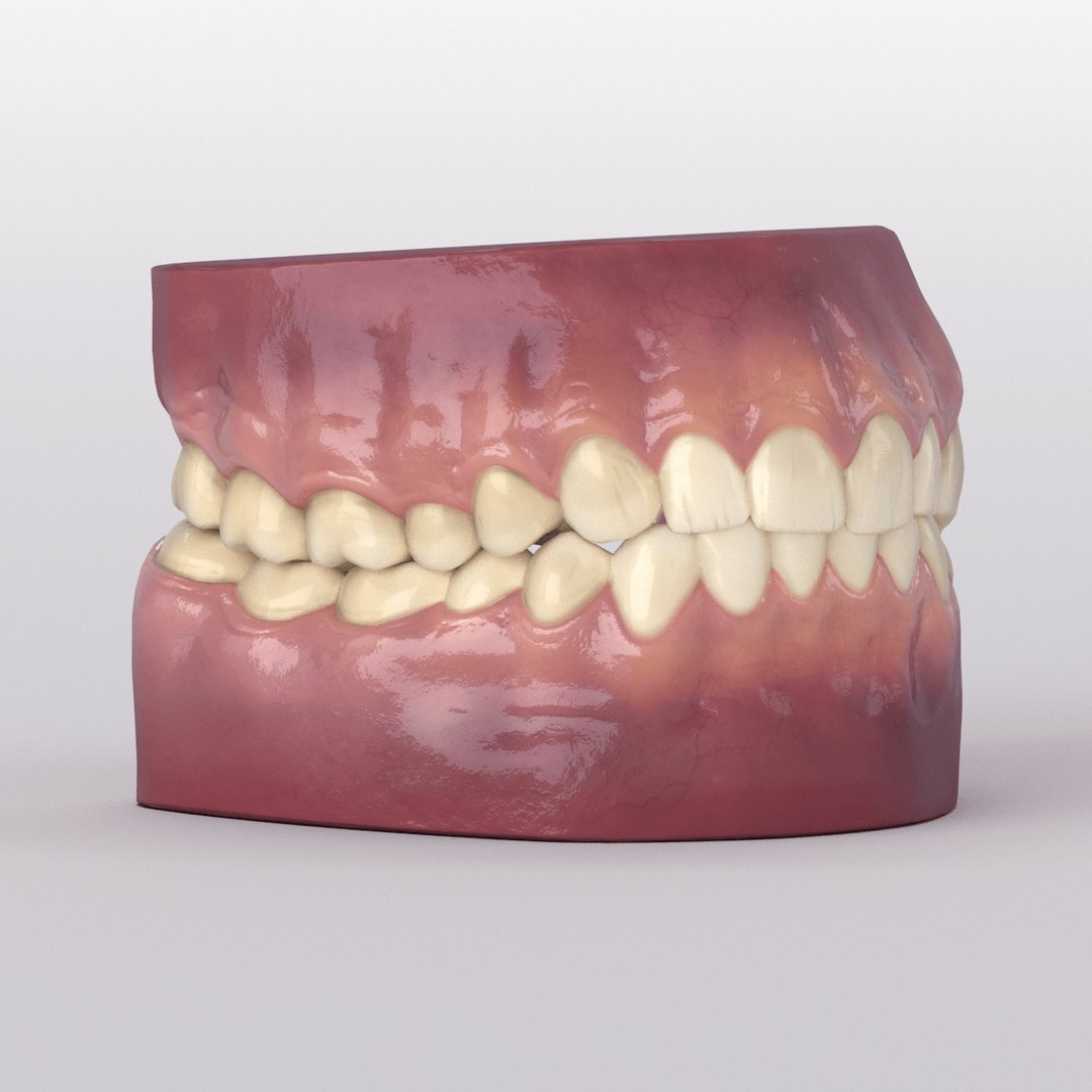 Realistic Teeth 3D Model - TurboSquid 1252964