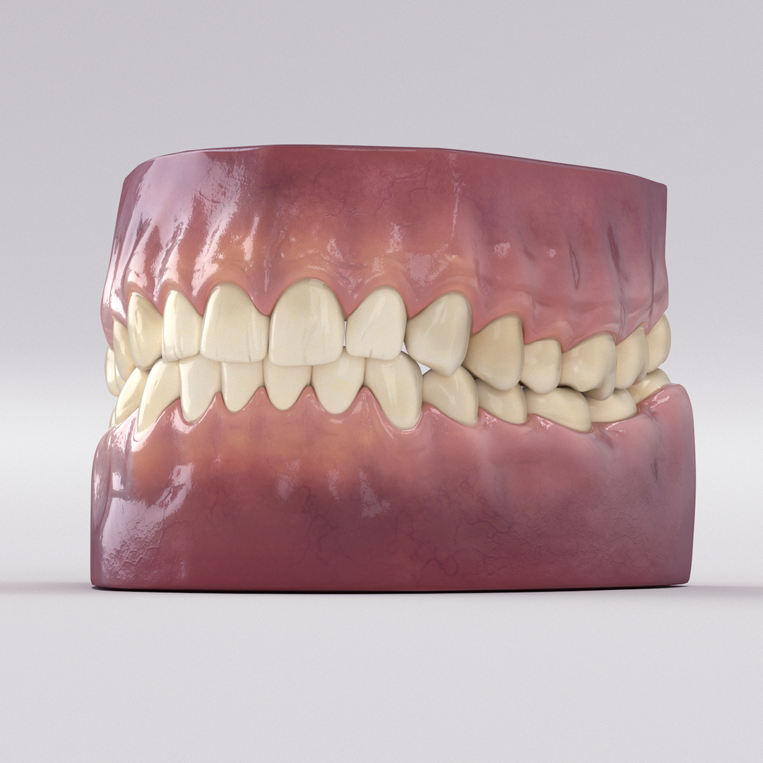 Realistic teeth 3D model - TurboSquid 1252964