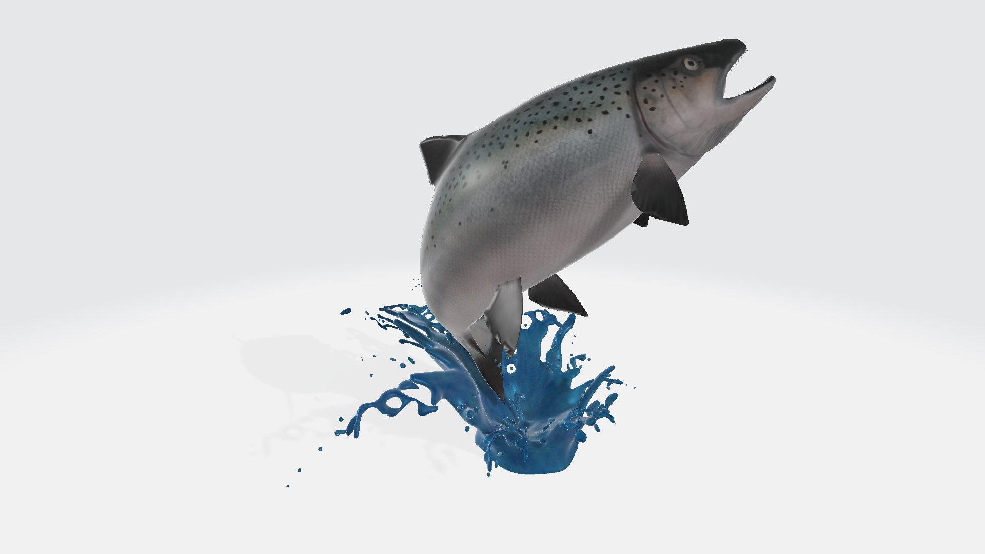 Leaping Salmon Model - TurboSquid 2412931
