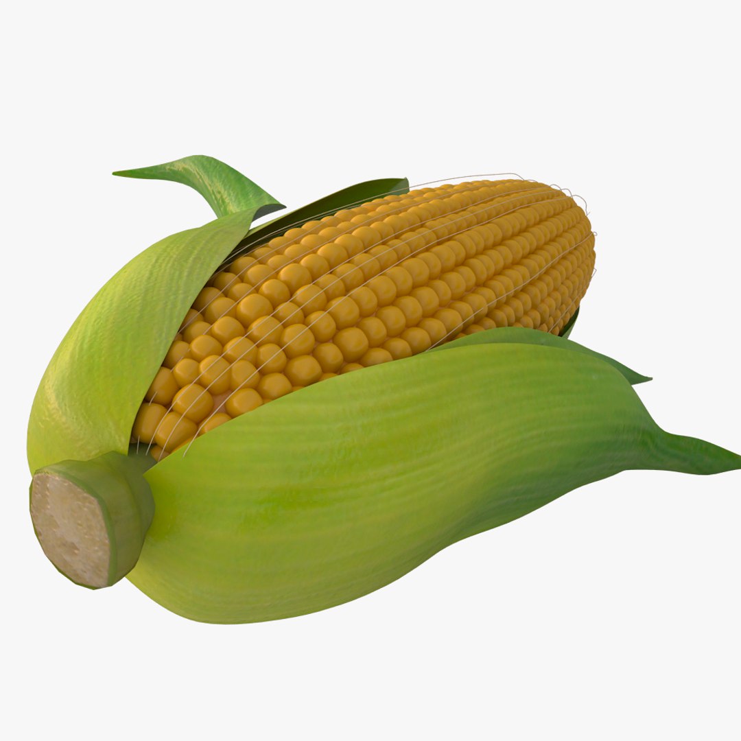 Corn 3d Max