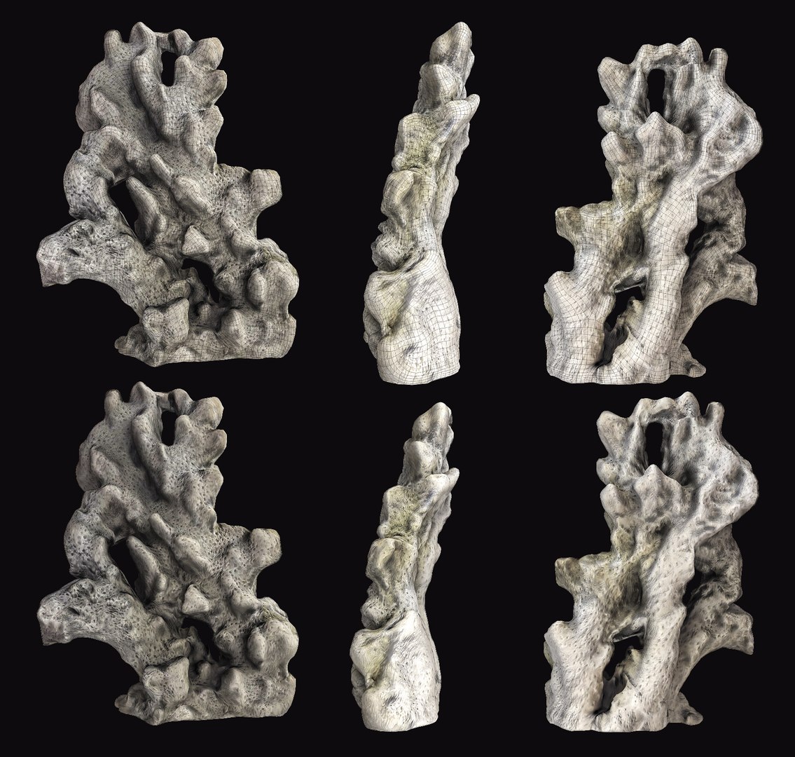 3D Coral Model - TurboSquid 1204021
