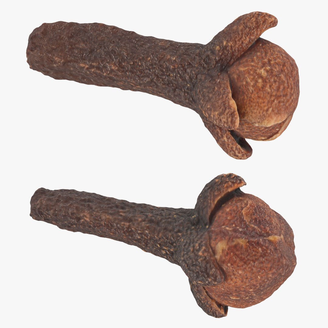 Clove Collection 3D Model - TurboSquid 2322549