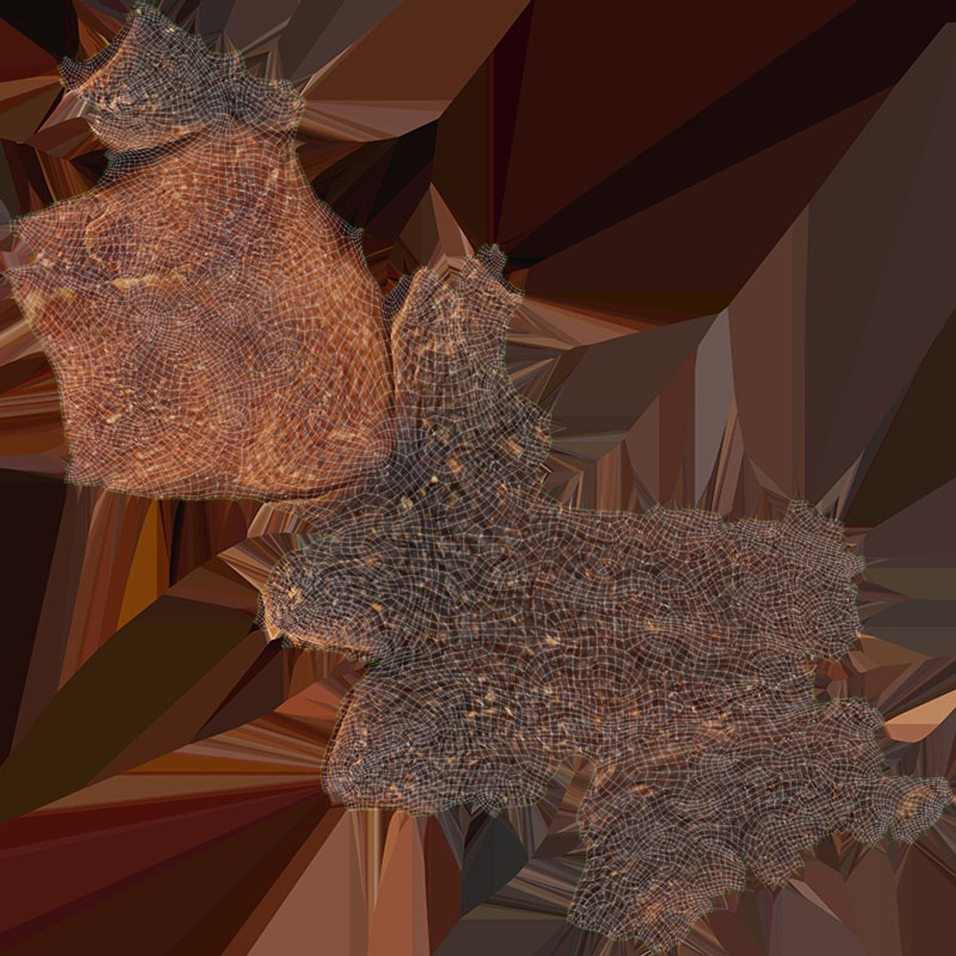 Clove Collection 3D Model - TurboSquid 2322549