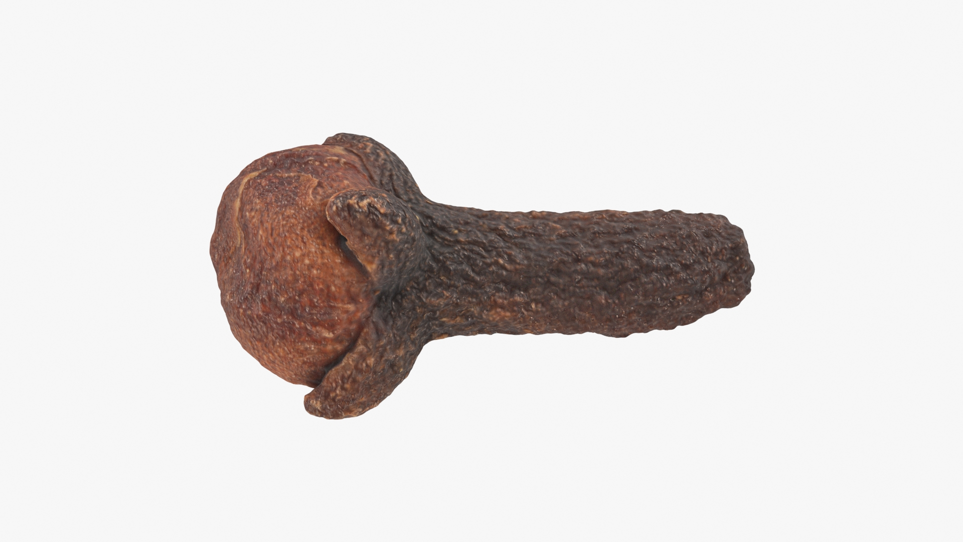 Clove Collection 3D Model - TurboSquid 2322549