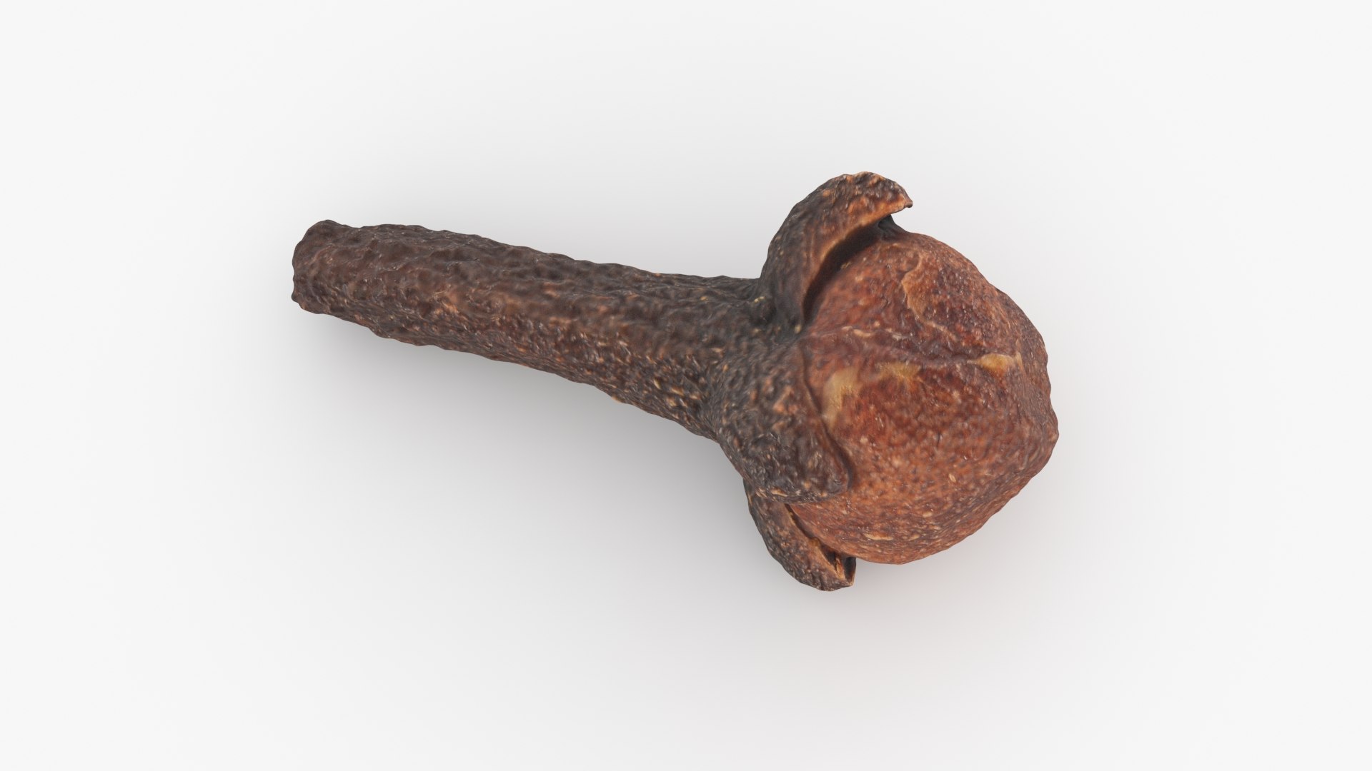 Clove Collection 3D Model - TurboSquid 2322549