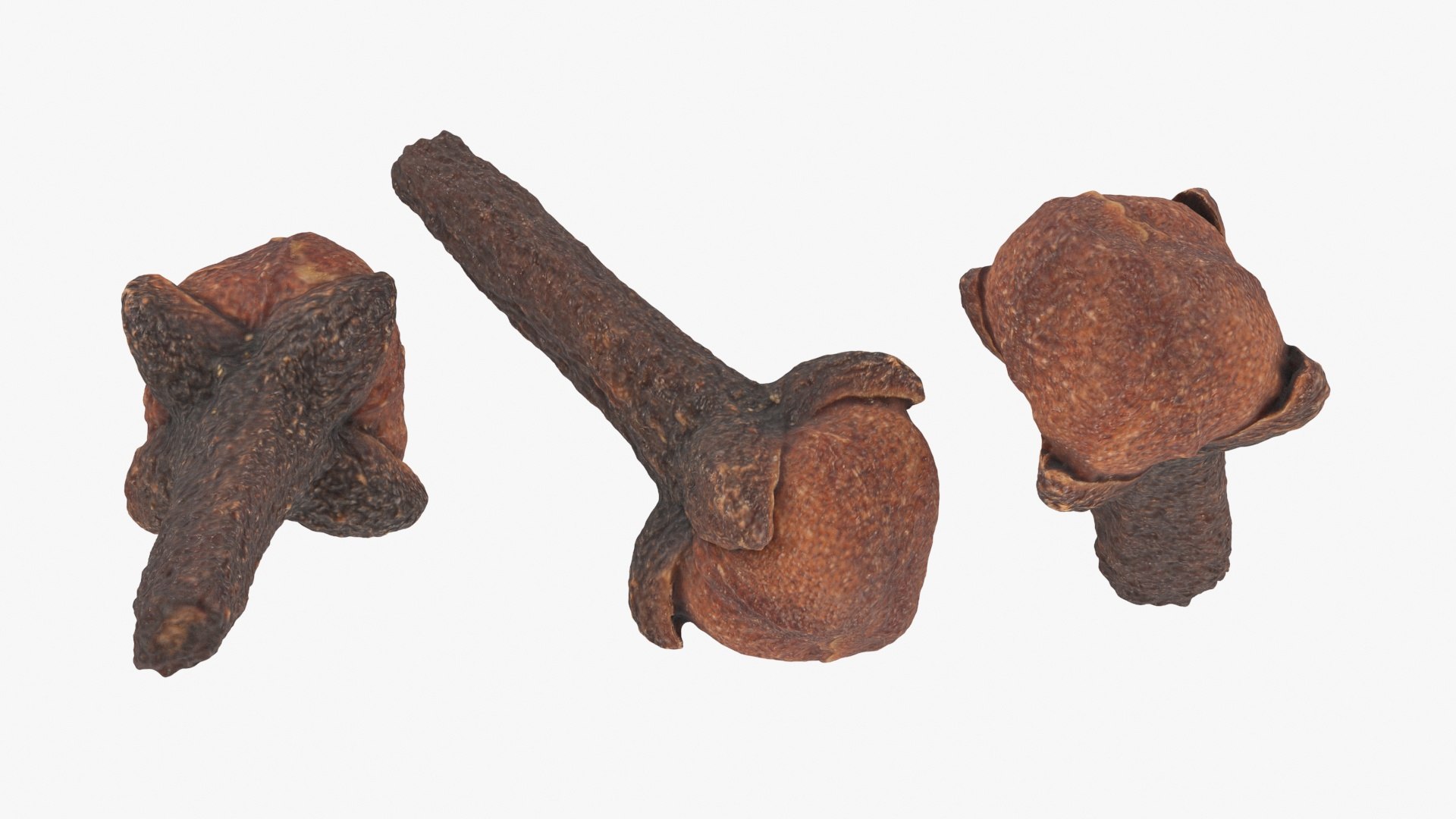 Clove Collection 3D Model - TurboSquid 2322549