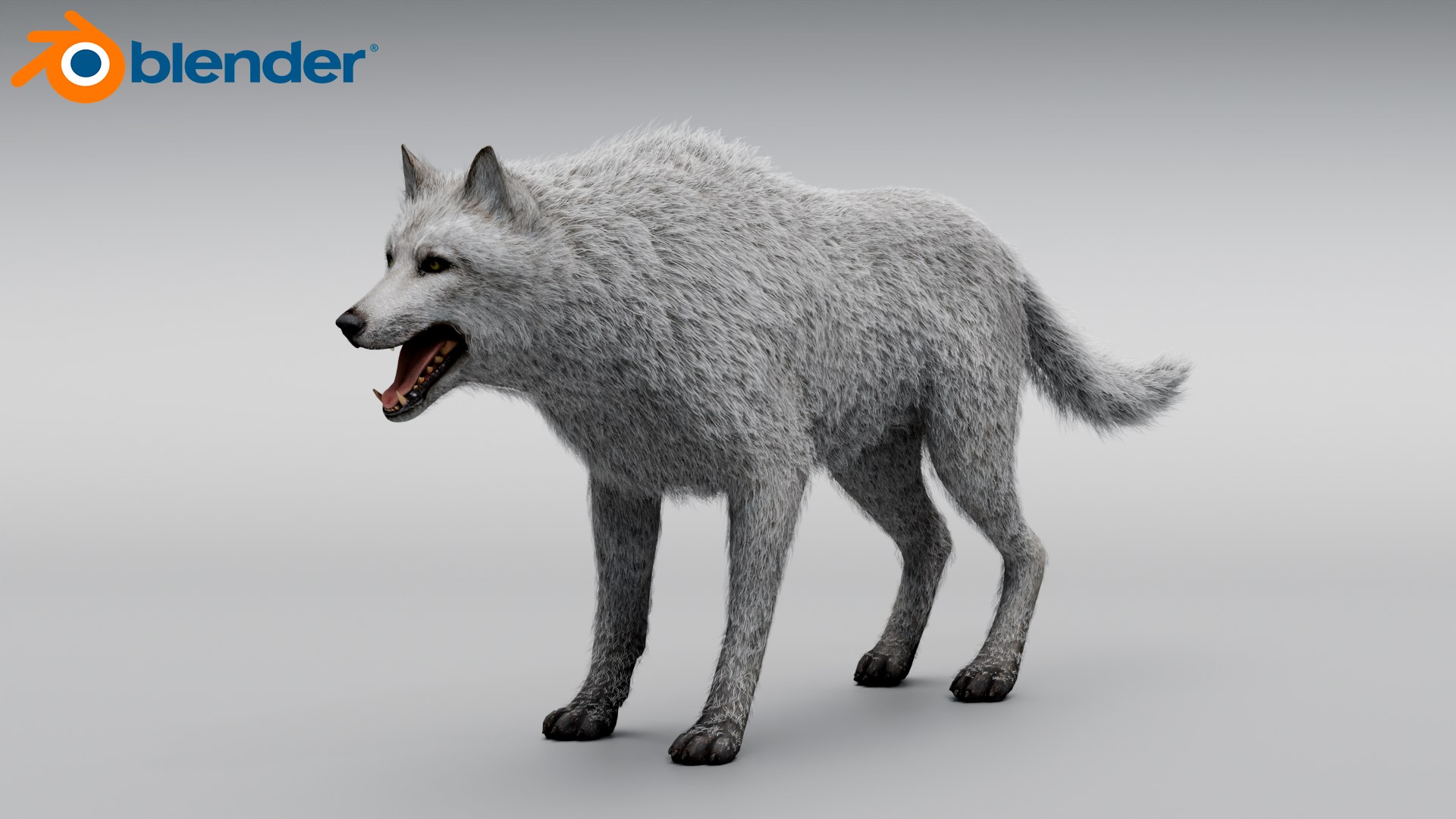 3D Wolf White - TurboSquid 2442207